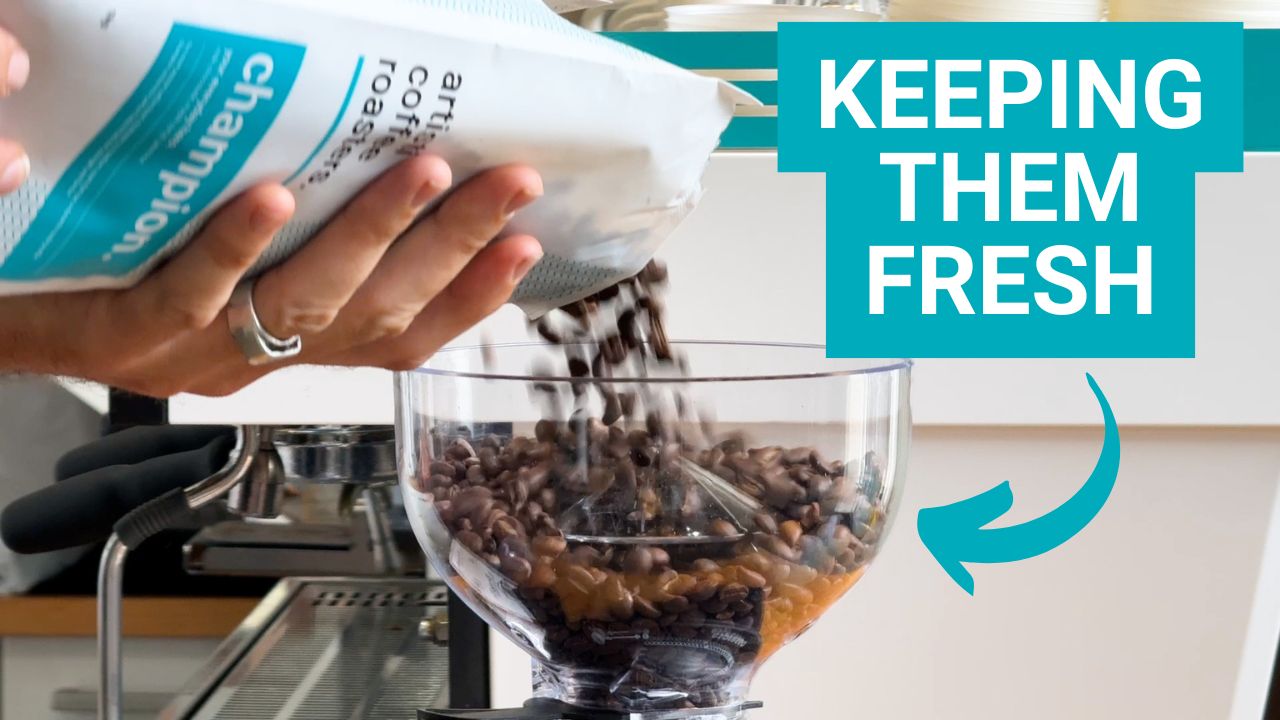 Stop Stale Coffee! The Ultimate Guide to Storing Coffee Beans at Home ...